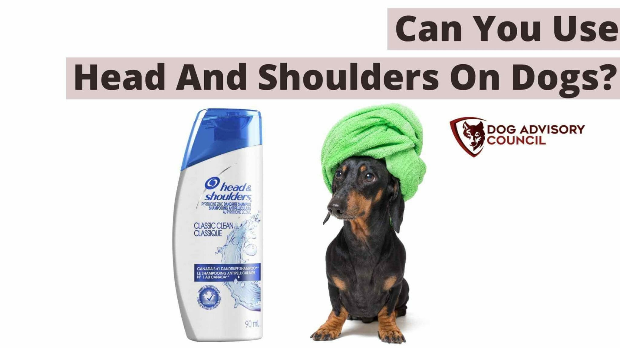 Can You Use Head And Shoulders On Dogs? (Explained) | Dog Advisory Council Can You Use Head And Shoulders On Dogs? (Explained) | Dog Advisory Council