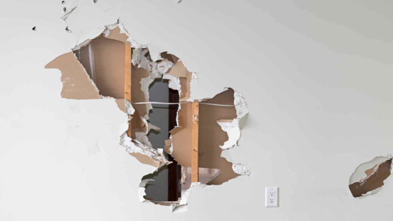 My Dog Ate Drywall, What Do I Do? | Dog Advisory Council