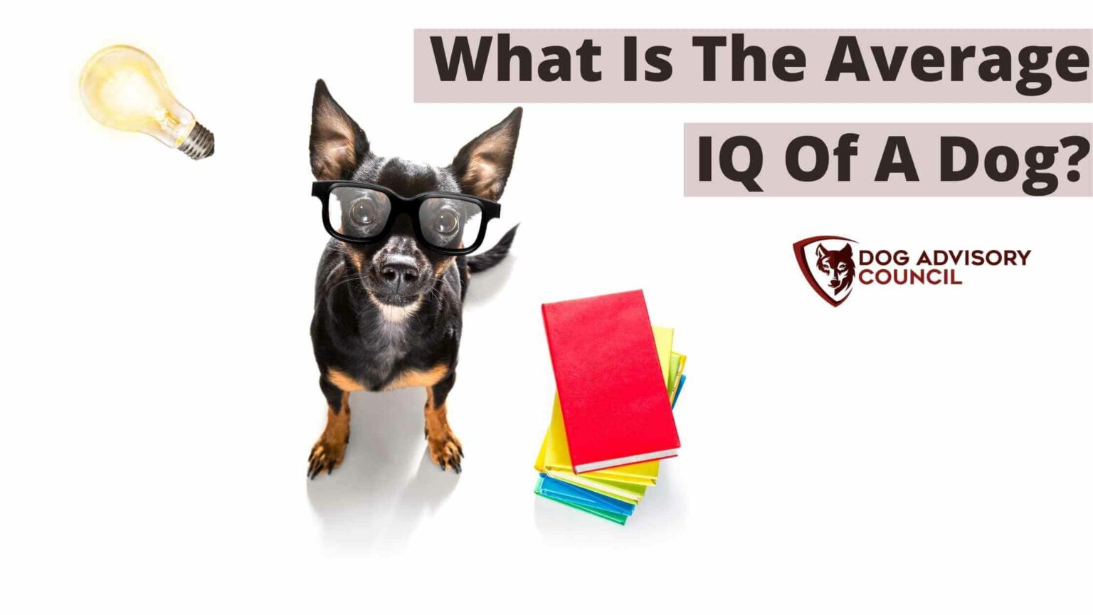 What Is The Average IQ Of A Dog? (All You Should Know) | Dog Advisory ...