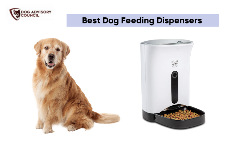 Best Dog Food & Water Dispensers with Timer | Dog Advisory Council