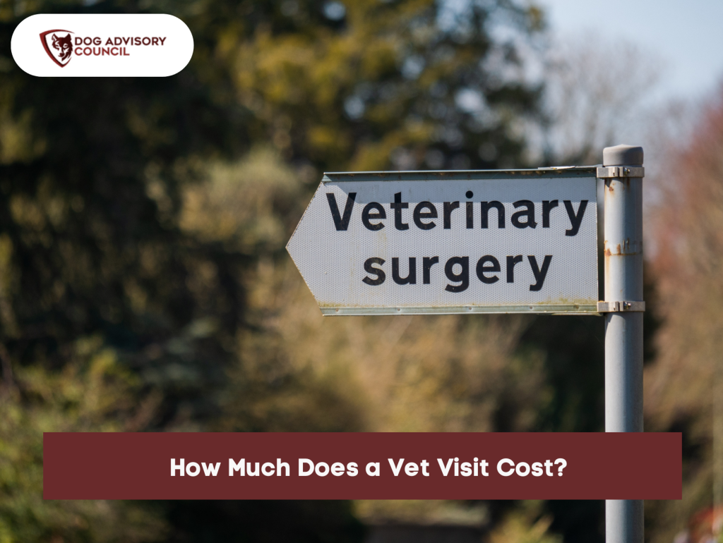 How Much Does A Vet Visit Cost? | Dog Advisory Council